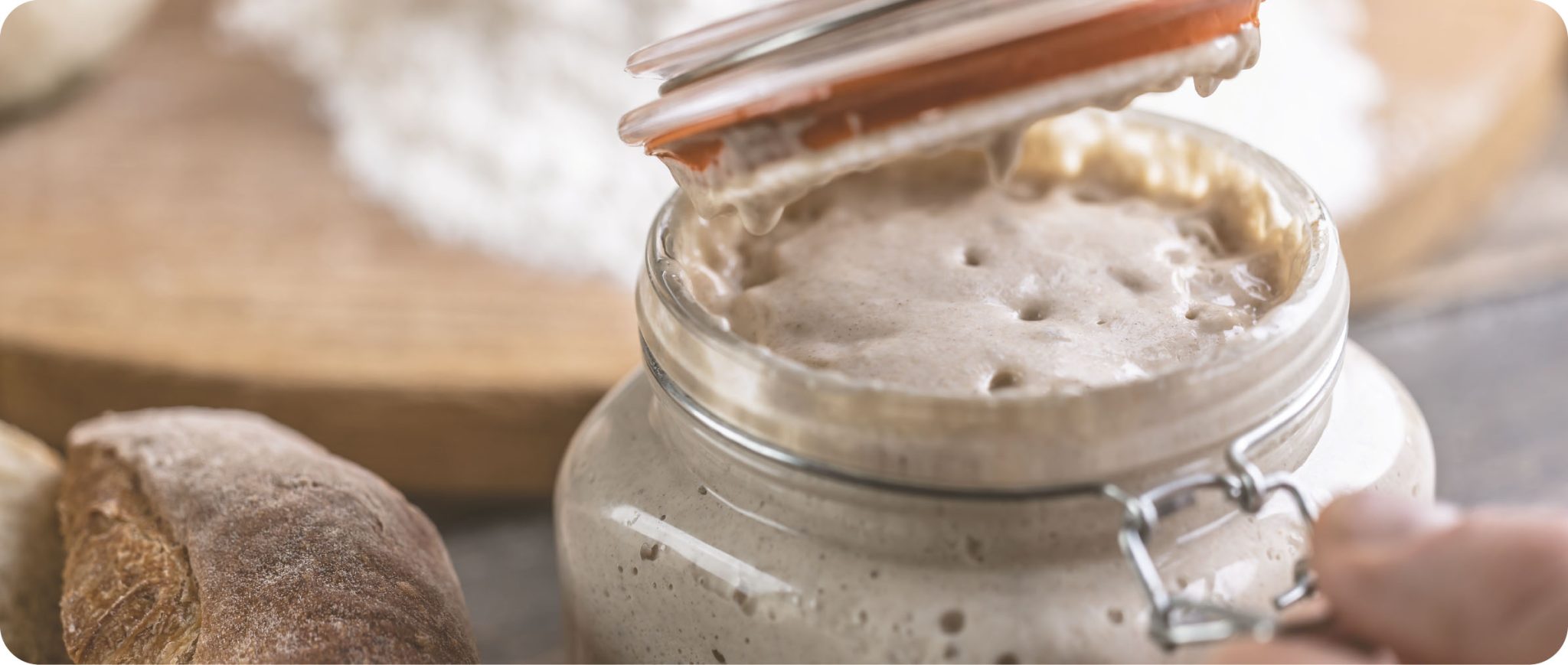 Levain vs Levure – Inéwa
